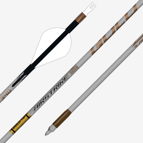Arrows gold tip store